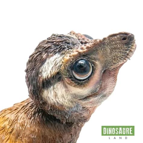 Figurine Dinosaure Bébé T Rex Dinosaureland