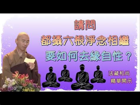都攝六根要如何去缘自性精華 YouTube
