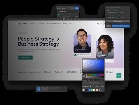 Collaborate With Certified Webflow Developers Riseverse