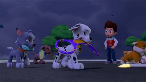 Rubblegallerypups Save A High Flying Skye Paw Patrol Wiki Fandom