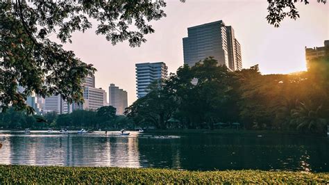 Pathways To A Low Carbon Future Decoupling Economic Growth From Carbon