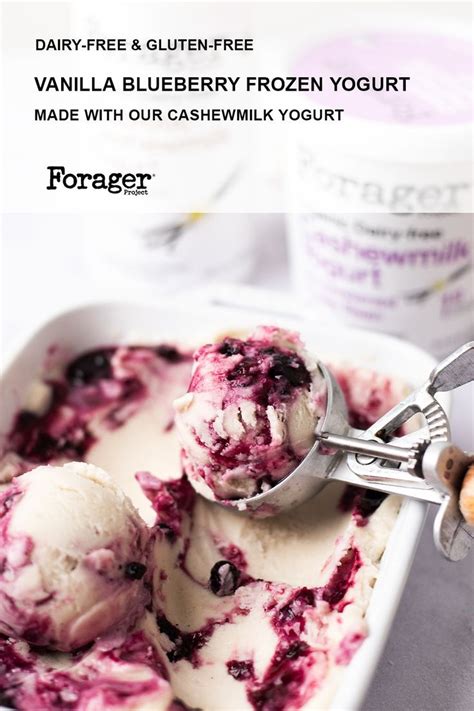 Vanilla Blueberry Frozen Yogurt Artofit