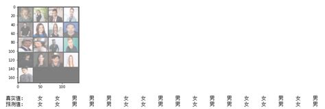 Pytorch实现性别识别，男女分类pytorch 识别图片性别 Csdn博客
