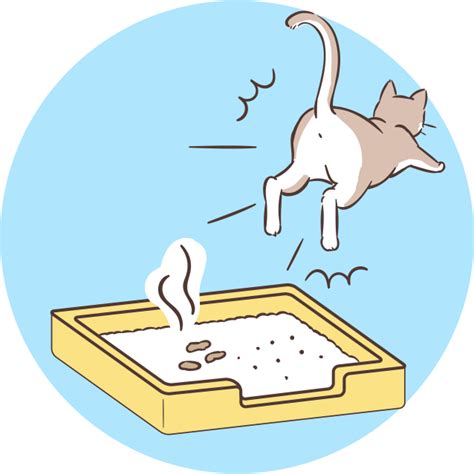猫が喜ぶ快適なトイレ環境とは？トイレのサイズ、形状、置き場所など猫専門医が徹底解説！｜ペットと暮らす｜ライオンペット株式会社