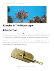 Exploring The World Through Microscopes Course Hero