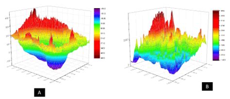 Brevetoxin A And B Time Resolved Absorption And Resonance Ft Ir And Raman Biospectroscopy