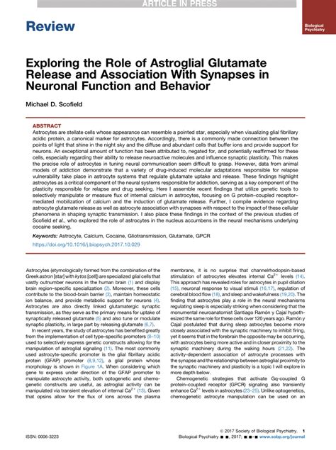 Pdf Exploring The Role Of Astroglial Glutamate Release And