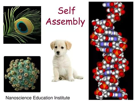 PPT Nanomanufacturing Institute Self Assembly In Nanoscience Education PowerPoint
