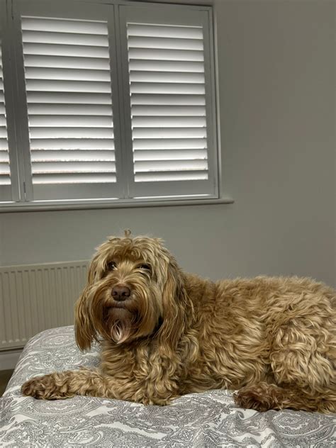 Gareth Keyte On Linkedin Shutters Personaldevelopment Shutterchat