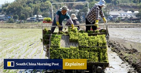 Explainer Land Has Played A Critical Role In Chinas Economic Rise