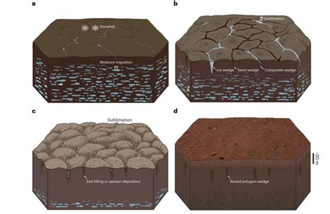 Zhurong Rover Discovers Bizarre Shapes Posing Questions