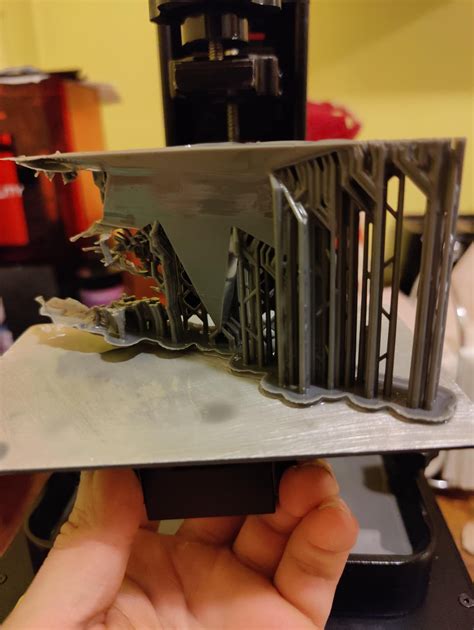 I Have Cleaned My Printer Thoroughly Leveled The Print Bed Checked My