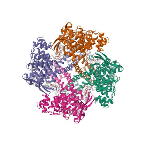 RCSB PDB 8GFA Cryo EM Structure Of Human TRPV1 In Complex With The