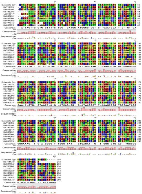 Multiple Sequence Alignment Of E Faecalis Partial Nucleotide Sequence