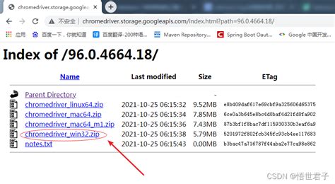 Java 搭建 Selenium 环境java Selenium Csdn博客