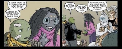 Mona Lisa From Idws Tmnt Rtopcharacterdesigns