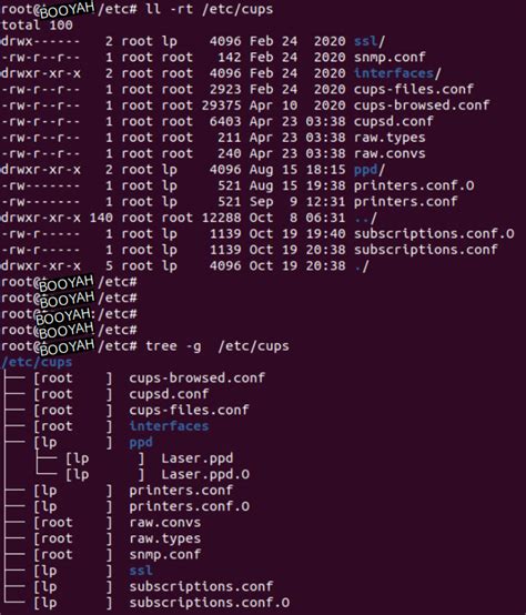 Command Line How To Write A Shell Pipeline To Print The Group Owner