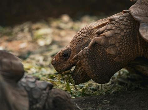 Viber Background Photos Download The Best Free Viber Background Stock