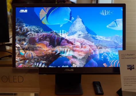 Asus OLED Monitor Is Previewed Display Daily