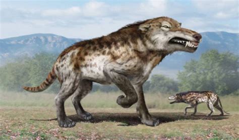 Animais Pré Históricos Brasileiros BRAINCP