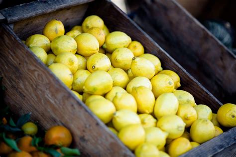 картинки фрукты Пища местная еда Натуральные продукты растение