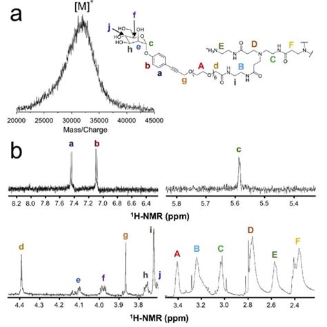 Pdf Coating Of Silicone With Mannoside Pamam Dendrimers To Enhance Formation Of Non Pathogenic