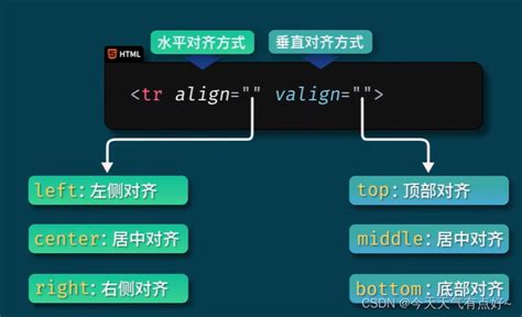 前端入门：html（表格）前端表格 Csdn博客