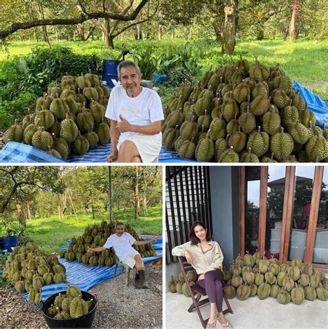 นิวส์ชลบุรี ระยอง เจ้าของสวนมาเอง ภาพล่าสุด ชลิต เฟื่องอารมย์ ในวัย 76 ปี กับผลผลิตทุเรียน