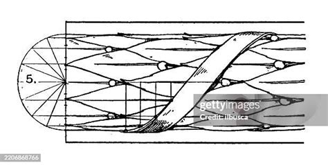 Enrichment Of The Torus Moulding Ornament Decoration Design Element High Res Vector Graphic