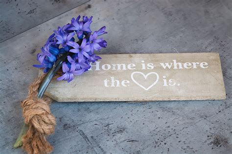 무료 이미지 닫기 정물 자료 푸른 꽃 미술 방패 레이블이있는 히아신스 봄의 꽃 집에서 목조 기호 시니 블렛 향기로운 꽃 2000x1333