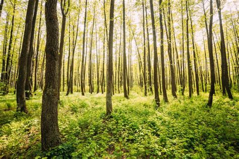 Tomorrow We Will Be Launching Wildcard Project From Udine Italy Honoured To Be Part Of