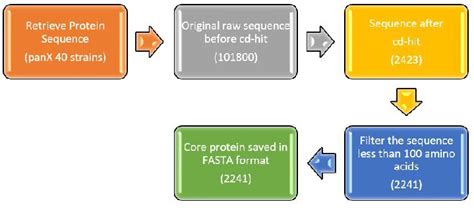 Retrieval And Pre Processing Of Core Proteins From The Pan Genome Using