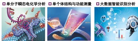 中文信息