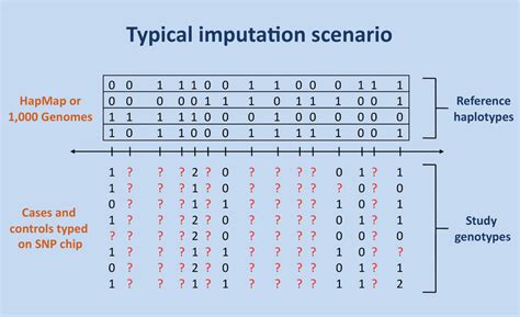 4 Schematic Of The Typical Imputation Scenario Replicated From