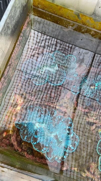 Abigail Maxwell Posted On Linkedin