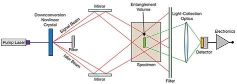 By The Numbers Photon Counting And Number Resolution Features May