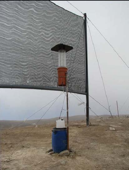 The Cylindrical Fog Collector 2 5 M In Front Of The Large Net Of The