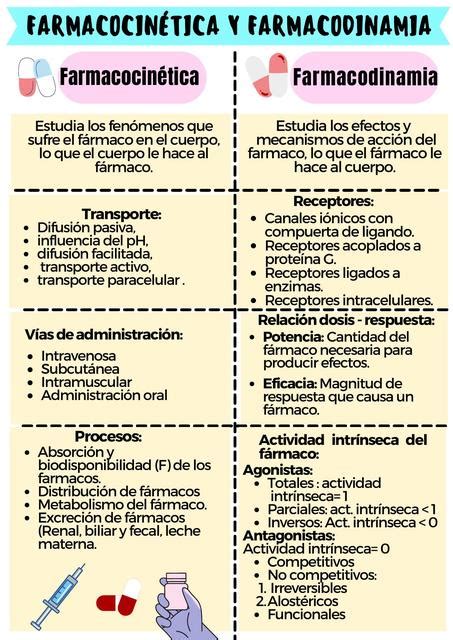 Farmacocinética Y Farmacodiamia Diferencias Erika Villatoro Udocz