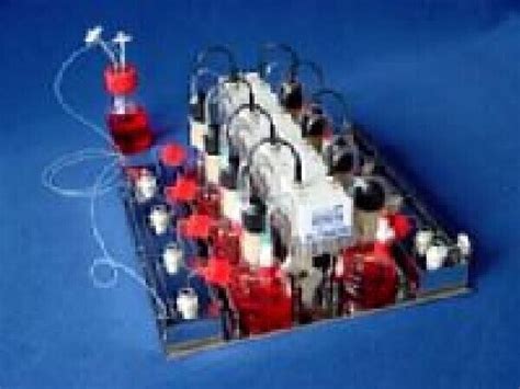 Ramos Respiration Activity Monitoring System Labmate Online