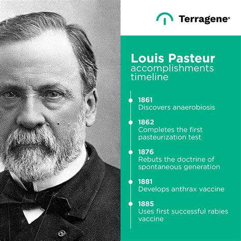 Louis Pasteur Timeline Louis Pasteur 1850 Se Le Atribuye La Técnica