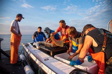 Aquafort Revolutionizing Local Aquaculture In New Hampshire New