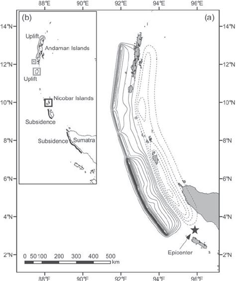 A Computed Coseismic Displacement Of Sea Bottom And Land Surface As