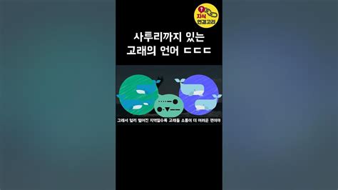 고래의 언어 Youtube