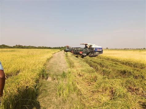 ភាពញញឹមរបស់ ប្រជាកសិករស្រុកកំពង់លែង