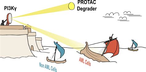 Targeting A Lineage Specific Pi3kγ Akt Signaling Molecule In Acute