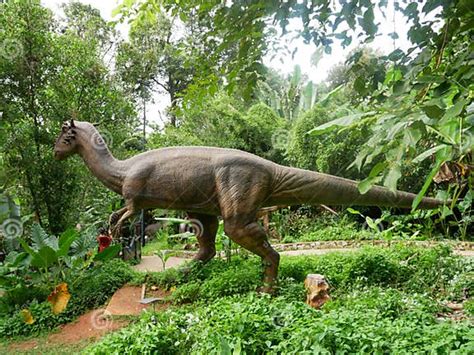 Replicas Of Various Types Of Dinosaurs Built To Life Size Editorial