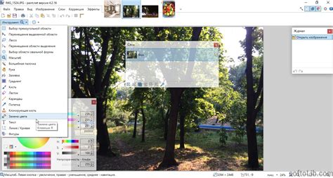 Paint Net скачать бесплатно Softolib