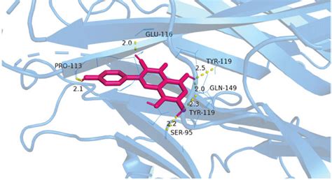 Visualization Of Protein Ligand Interaction Docking Results A The
