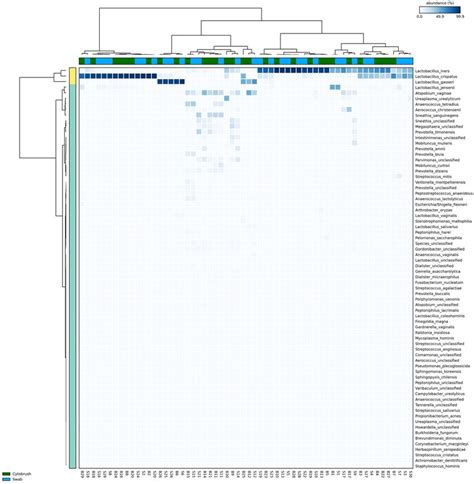 Heatmap Hierarchical Clustering Analysis Using Ward Clustering Was