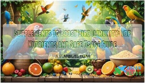 Supplements To Boost Bird Immunity Top Nutrients And Safe Usage Guide